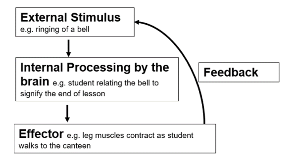 Making Internal Feedback Explicit – Assessment For All Learners